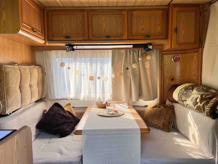 Wohnmobil Mitten In Den Weinbergen - Neustadt an der Weinstraße