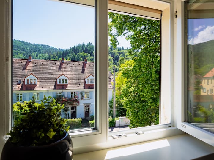 Cozy Central Stay With Forest Views, Near Nature - 프라이부르크
