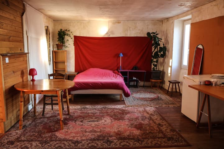 Graulhet . Chambre Avec Nombreuses Commodités - Graulhet