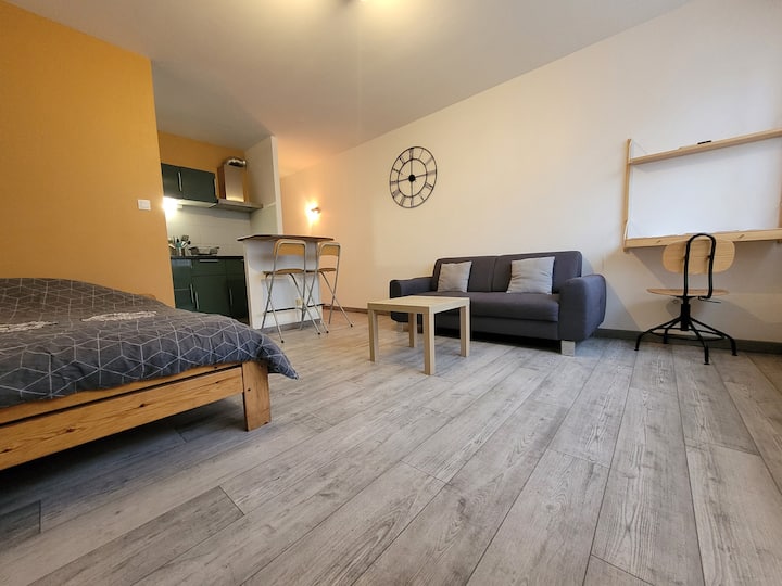 Nid De Cigogne-centre Ville-parking Gratuit - Colmar