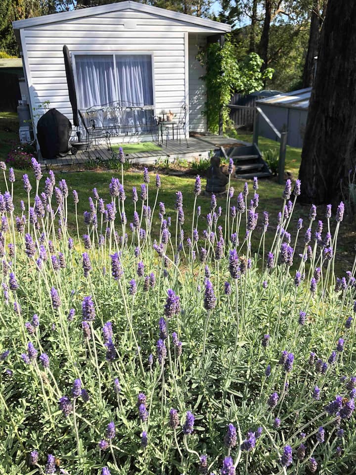 Bb's Bungalow - Gembrook