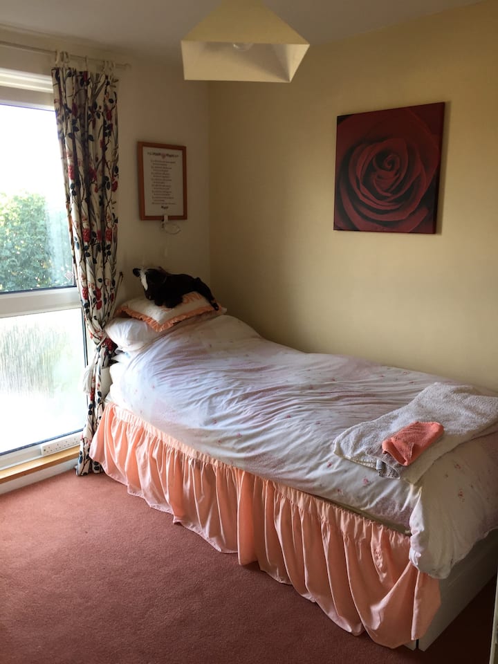 Stunning Rooms With Views Over Bath Plus Parking. - 바스