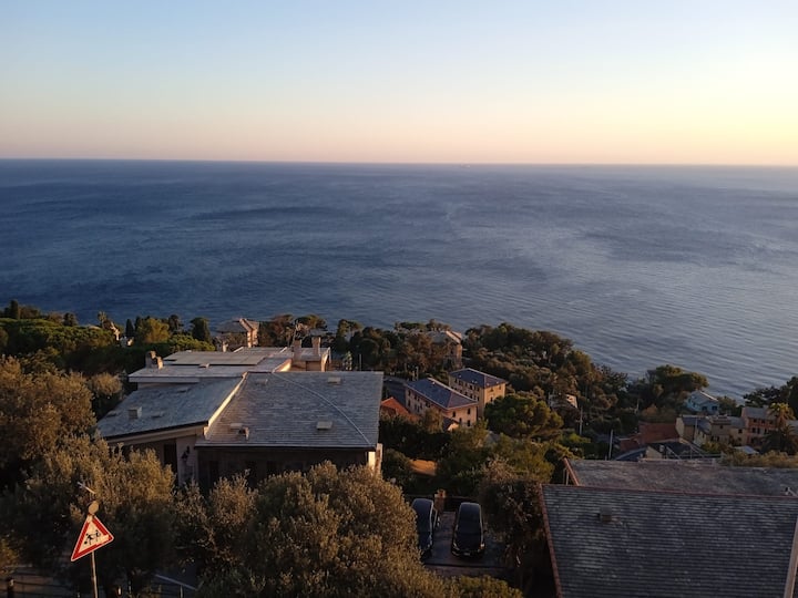 Appartamento Merlino - Bogliasco