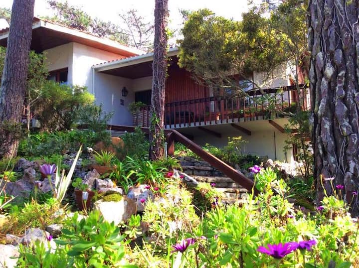 Beautiful Beach Holiday Home In Portugal. - Marinha Grande