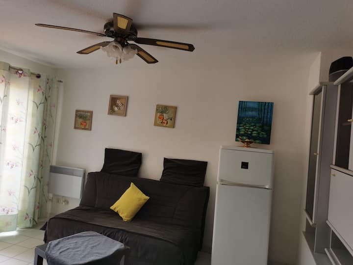 Appartement Les Pieds Dans L'eau à 2minutes - Marseillan