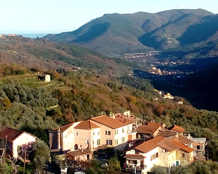 Appartamento In Antico Casale Agricolo - Liguria