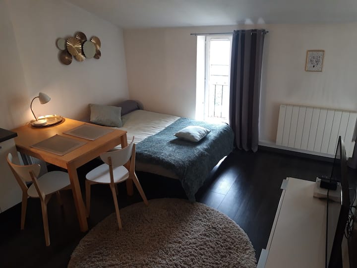 Studio Calme Et Bien Situé - Lyon