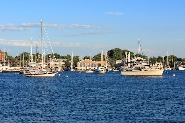1b Annapolis Apartment - Annapolis, MD