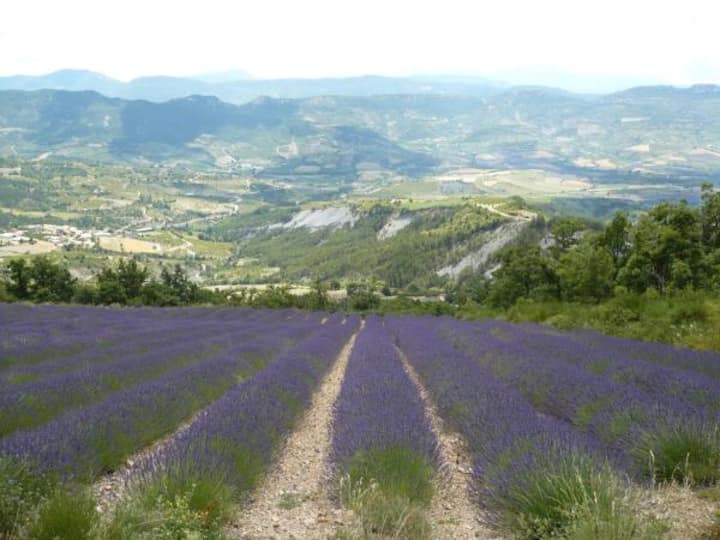 La Casa De Wiwi - Mont Ventoux