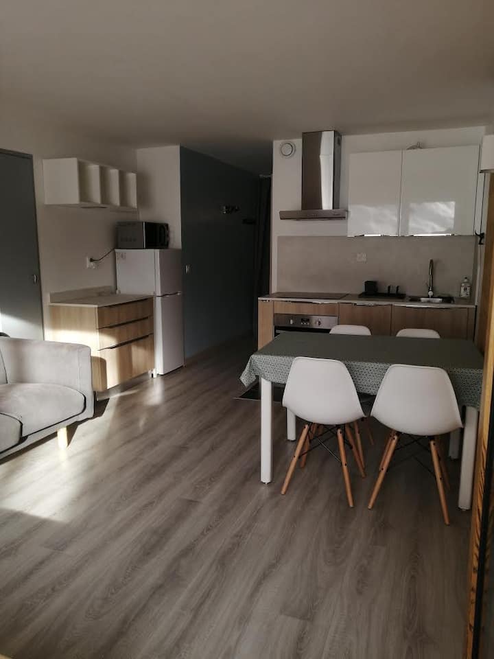 Bel Appart 42m2 6 Pers,centre Face Ski,esf,boutiqu - Les Deux Alpes