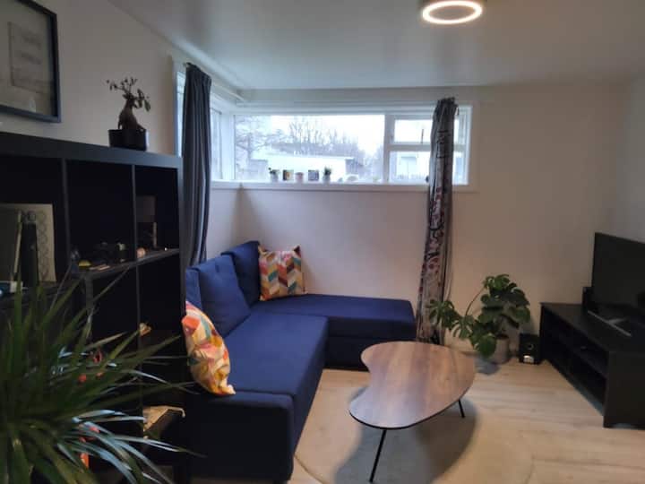 Acogedor Apartamento - Reikiavik
