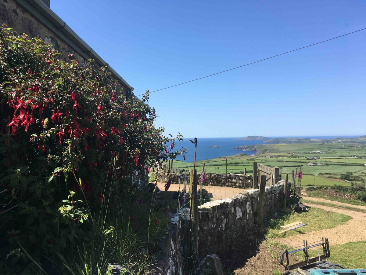 Rural Tiny Characterful Welsh Crog Loft Cottage - Tiny houses for Rent ...