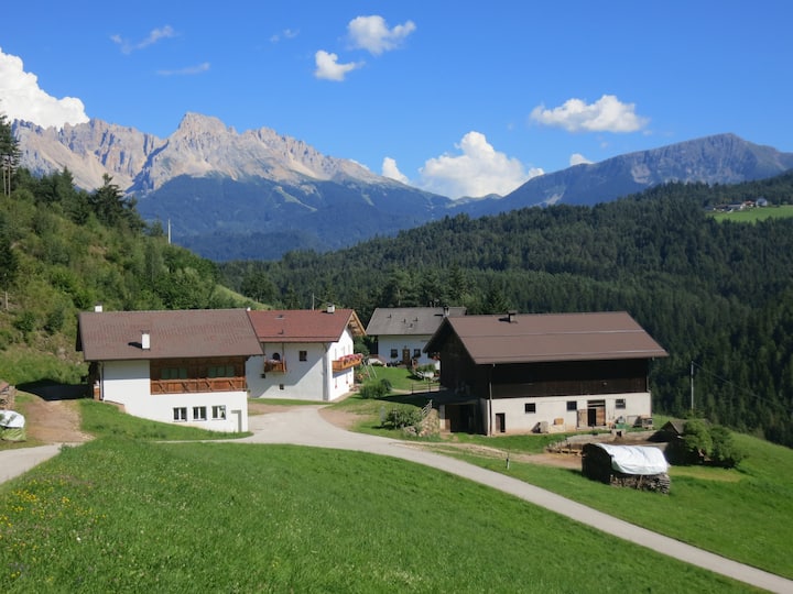 Wohnung Latemar - Unterkoflhof - Deutschnofen