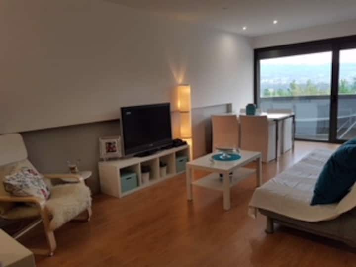 Duplex Proche Lac Des Cygnes, Gerês, Braga - Amares