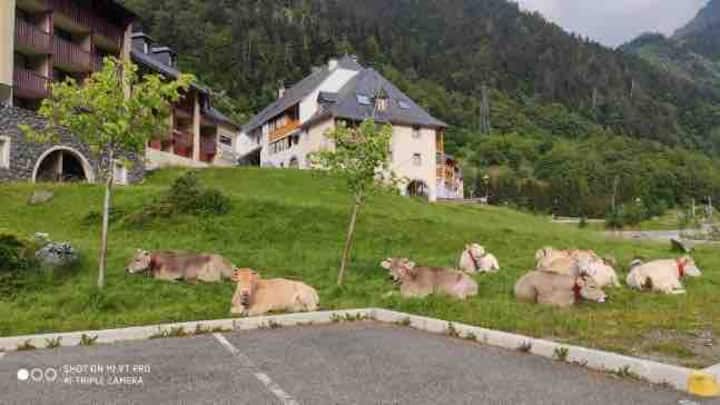 Appartement Pyrénées Artouste Laruns - Lac Gentau