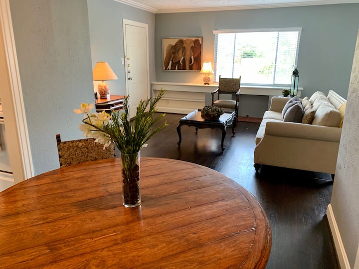 Traditional Apartment, Sleeps 5 - South Park - Houston