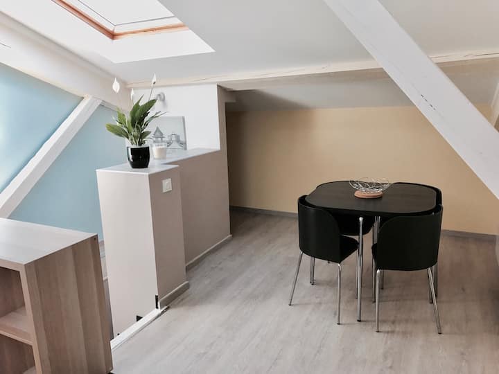 Appartement4 Climatisé A 200m Du  Chateau - Carcassonne