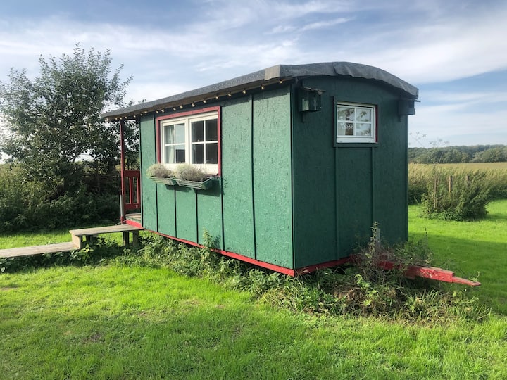 Minimal & Stylish - Auszeit Im Tiny House - Preetz
