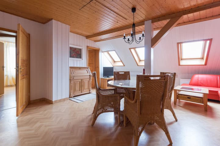 Helle Wohnung Im Zentrum Jenas - Jéna