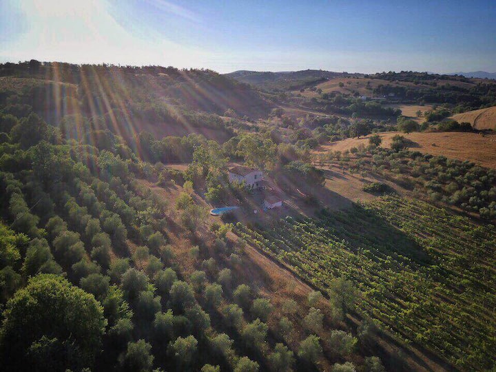 Casale Con Vigneto E Uliveto In Toscana - Magliano in Toscana
