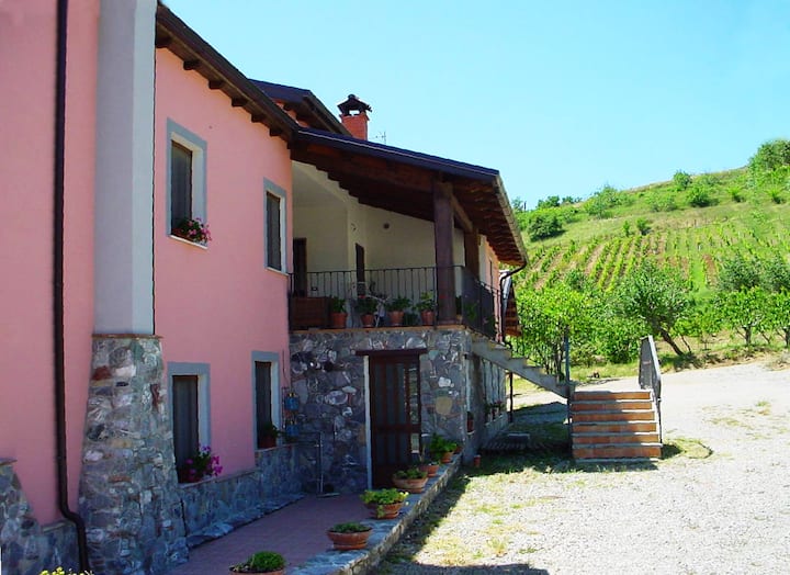 Tranquillità E Relax Nel Parco Del Pollino - Basilicata