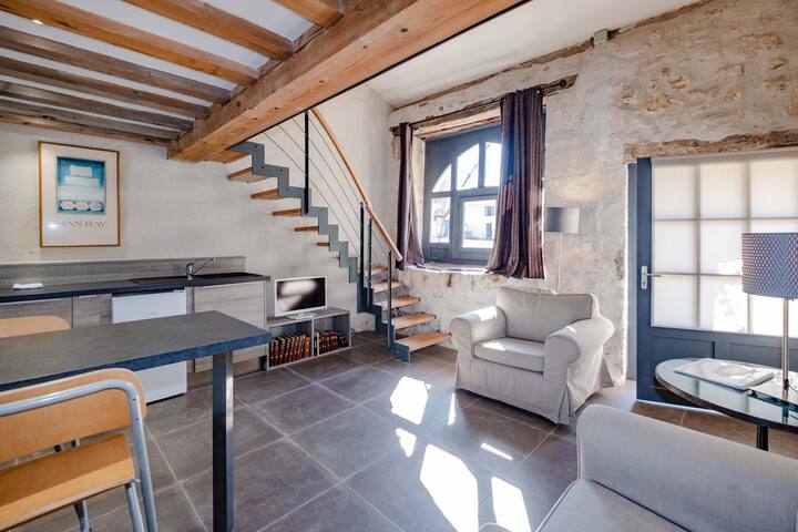 Studio, Chic, Romantique De Pierre, Bois Et Acier - Charente