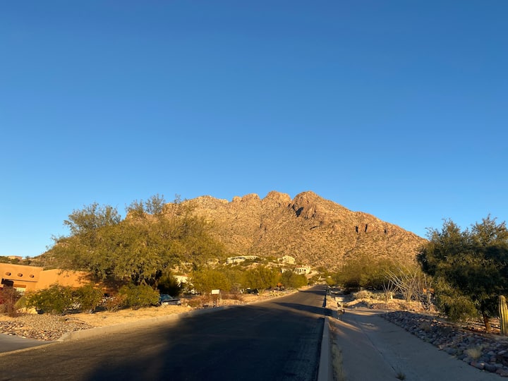 Cozy 1 Bedroom Guest Suite With Full Kitchen - Oro Valley, AZ