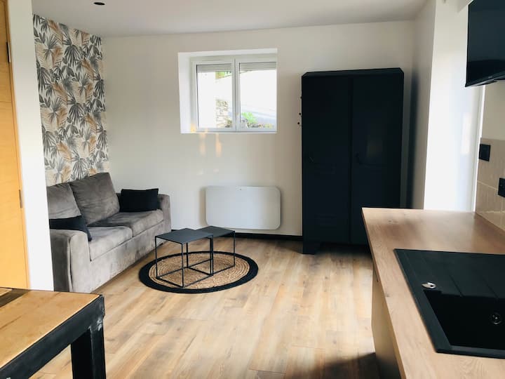 Charmant Studio En Plein Centre, Proche Commerces - Les Herbiers