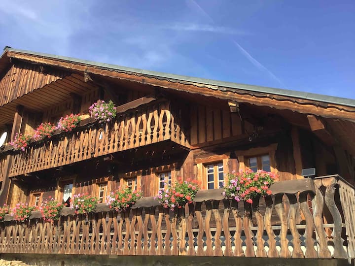 Chalet Typiquement Savoyard Plein Su - Abondance