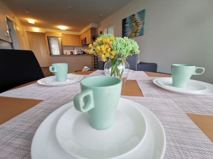 Comfortable Two-bedroomt & Wo-bathroom Apartment - Delta