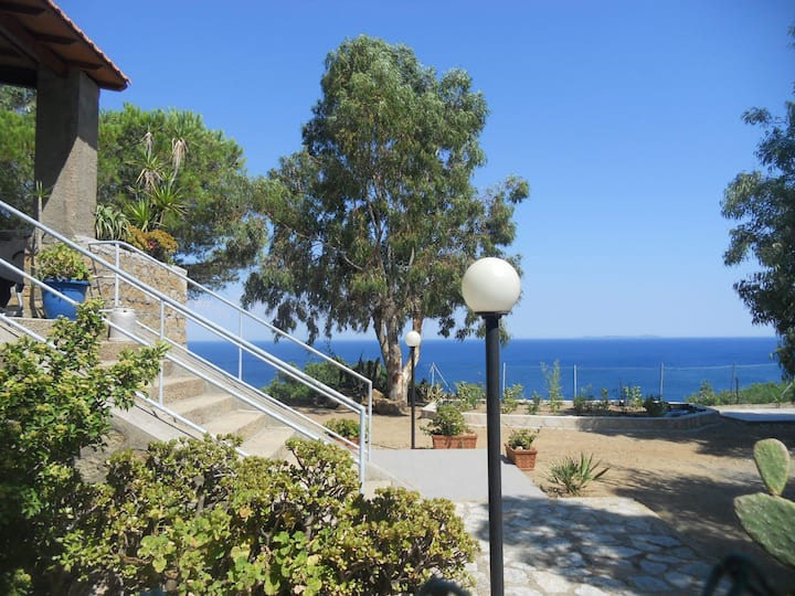 Casa Vista Mare Ampio Giardino Isola Del Giglio - Isola del Giglio