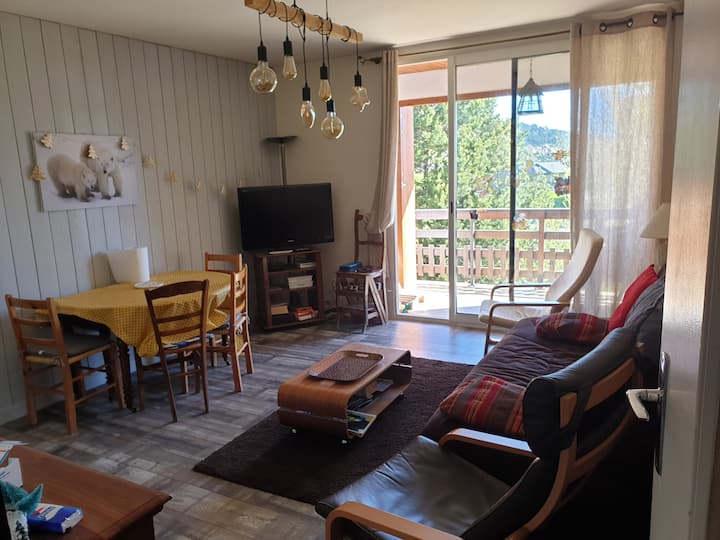 Grand Appartement Au Centre Des Angles - Les Angles