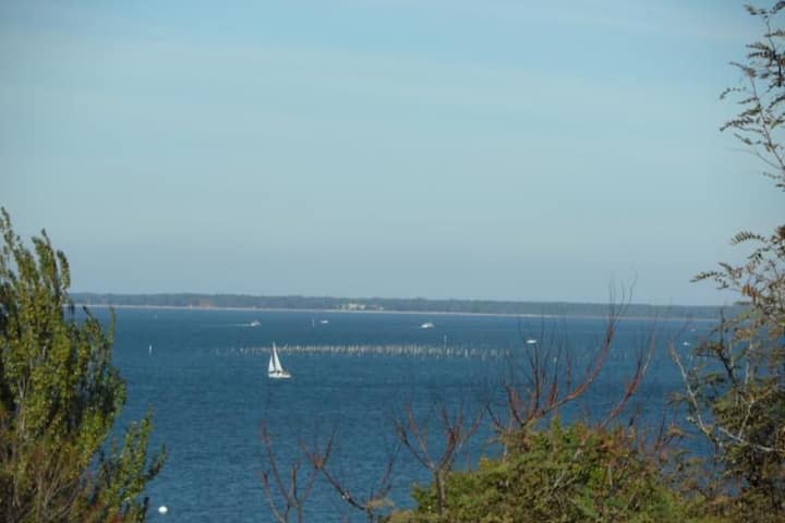 T2 Climatisé Bd De La Plage, Avec Vue Bassin. - Arcachon