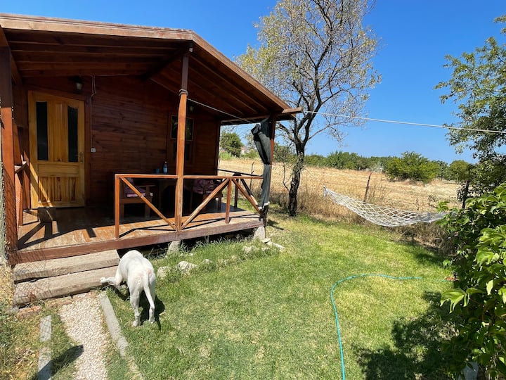 Gizlibahçe  Iskele - Urla