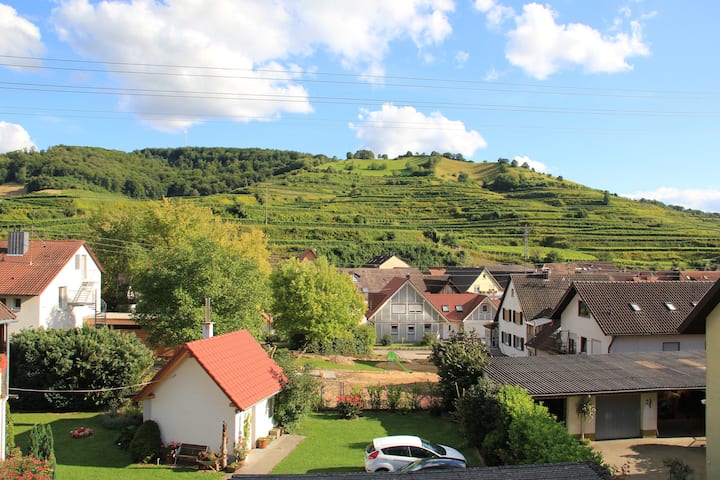 1 Ferienwohnung Winzerhof Von Weinbergen Umgeben - Ihringen