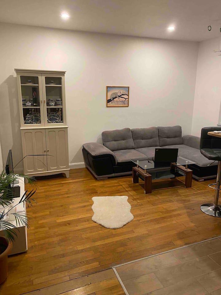 Bel Appartement à Strasbourg - Hœnheim
