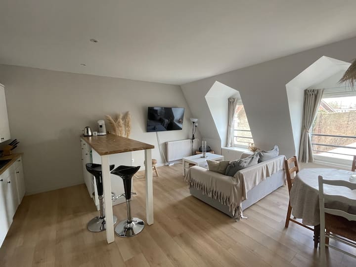 Vieux-lille : Bel Appartement Lumineux & Cosy - 릴
