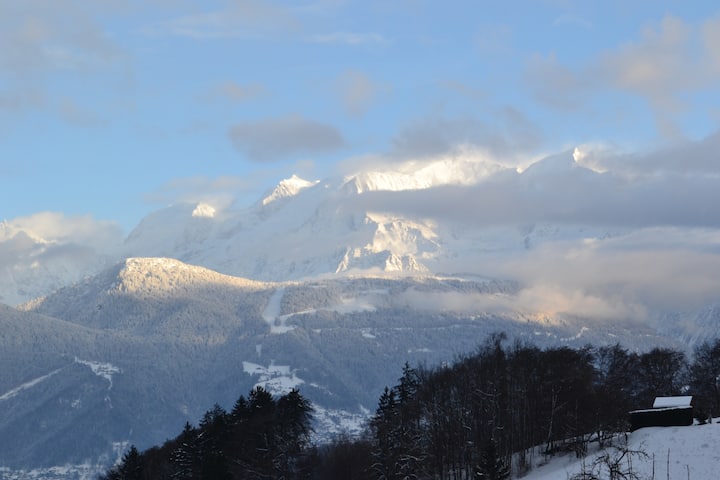 L'intermédiaire - Sallanches