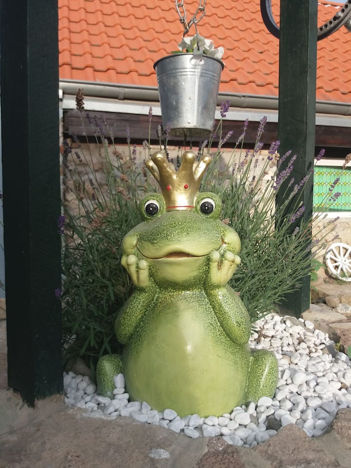 Ferienwohnung Froschkönig - Thale