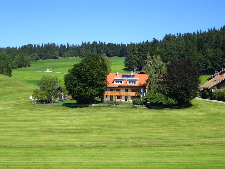 Appartement In Herrlicher Lage & Tollem Bergblick - Pfronten
