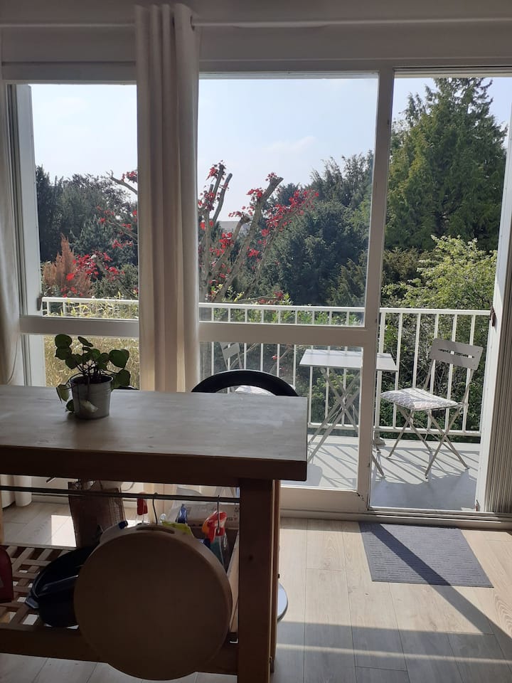 Appartement Rénové Calme Avec Grand Balcon - Caen