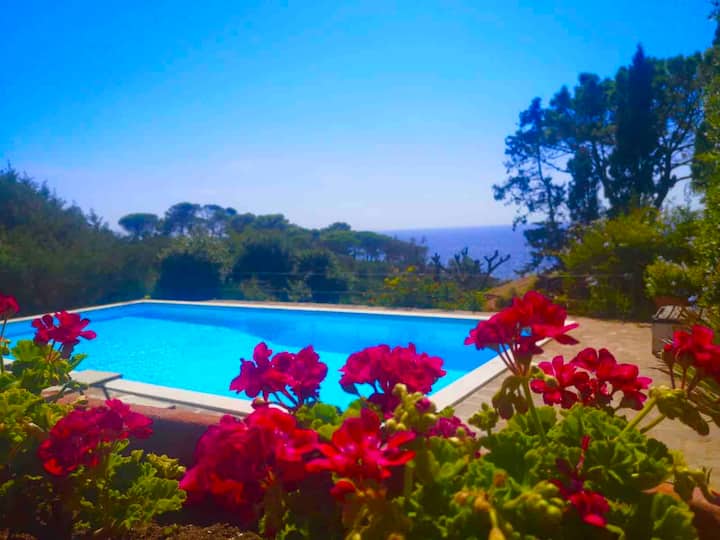 Villa Con Piscina Incanto In Ansedonia - Orbetello