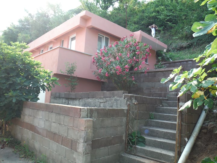 Quite Summer House In Green Area - Amasra