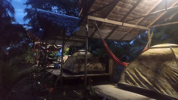 Camping Agua Viva Surf - Con Desayunos Y Frutas - Nuquí