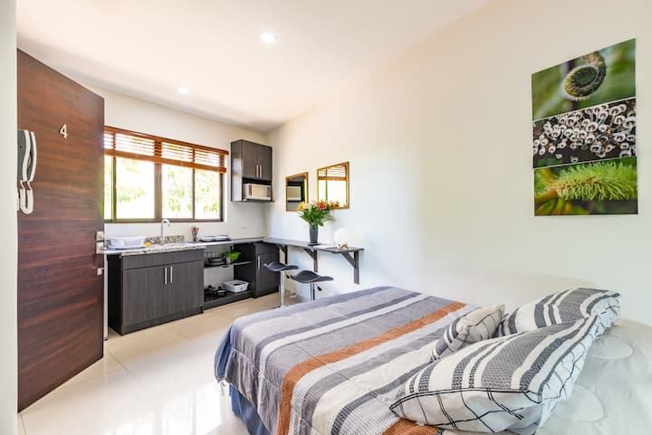 Apt#4 Modern Studio, Central, Peaceful, Modern. - 聖荷西