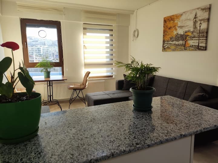 ŞEhrin Kalbinde Park Manzaralı Suit Daire - Istanbul