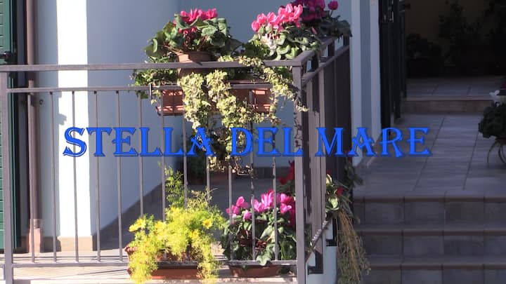 Stella Del Mare A Due Passi Dal Mare (App.1) - Montesilvano