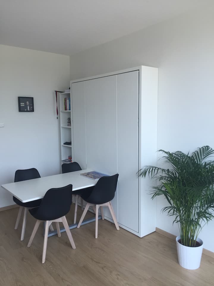 Great Apartment In Amsterdam - Amsterdam