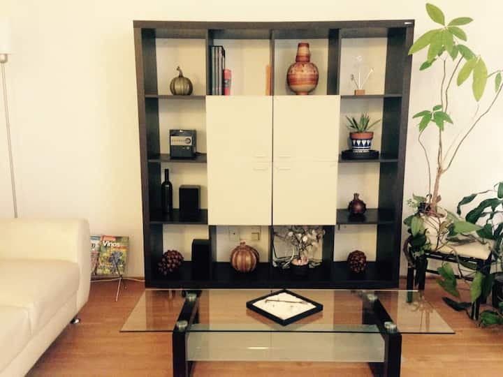 Nice Apartment, Close To Wtc And Pepsi Center - Mexico State