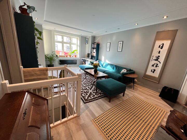 Stor, Sentral Leilighet Med Parker På Alle Kanter - Oslo